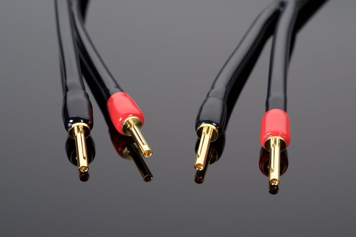 Wave Speaker Cable