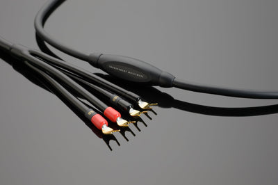 MusicWave Speaker Cable