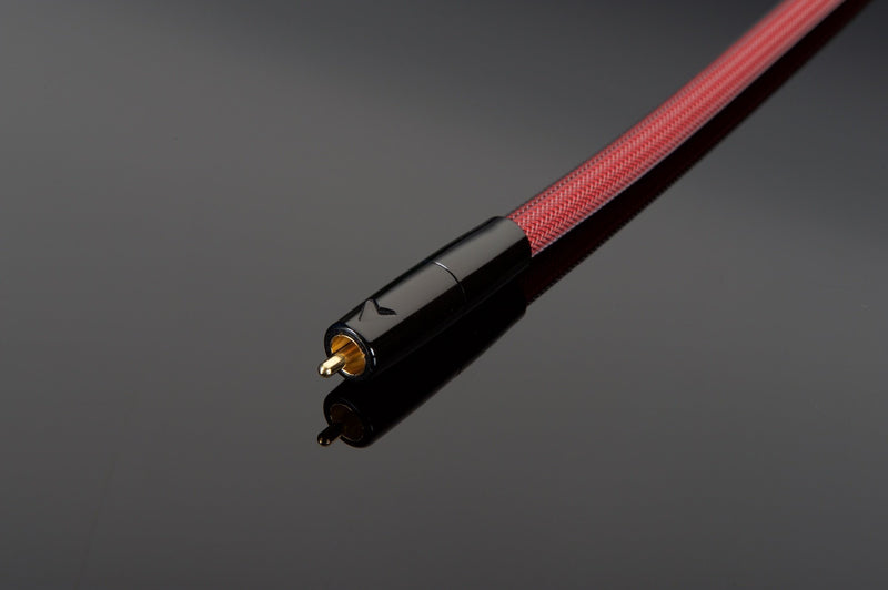 REFERENCE 75-Ohm Digital Link