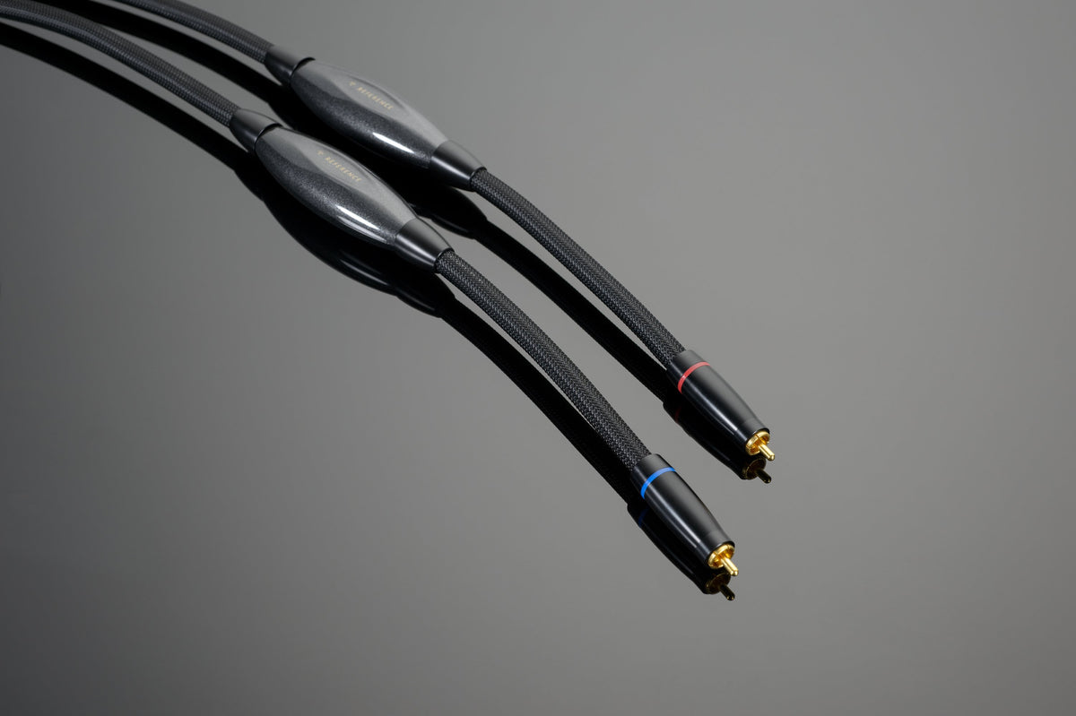 REFERENCE RCA Interconnect